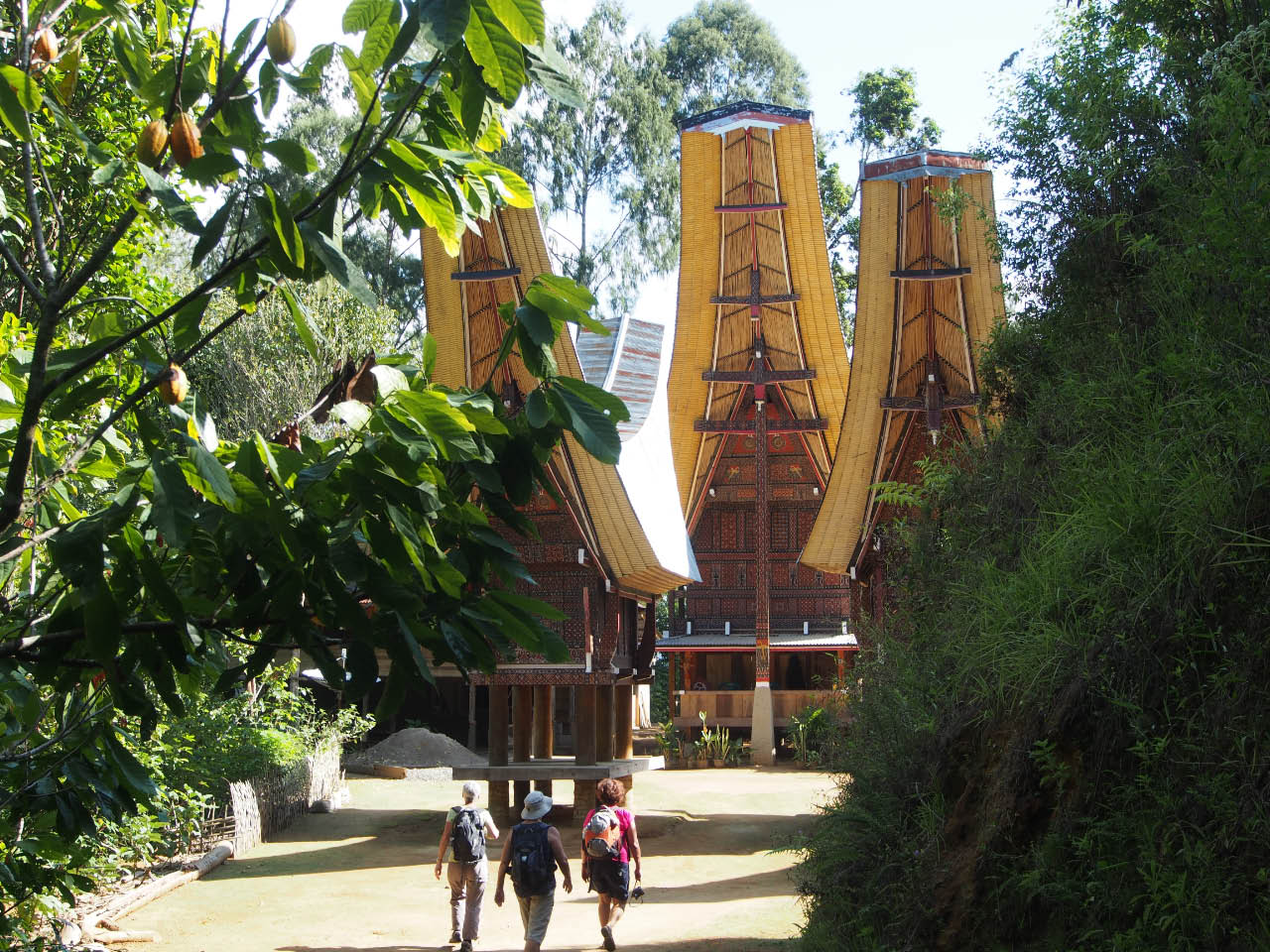 voyage aventures - Voyage 2015 - Bali - Pays Toraja - Raja Ampat - Au ...