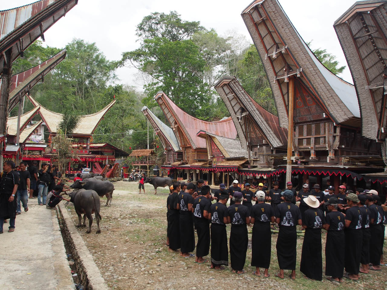 Voyages aventures - Voyage 2015 - Bali - Pays Toraja - Raja Ampat - Au ...