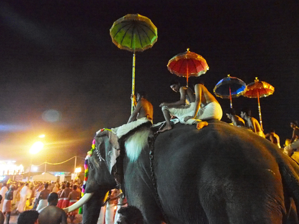 Voyages aventures - Inde du sud - Pooram de Guruwajur