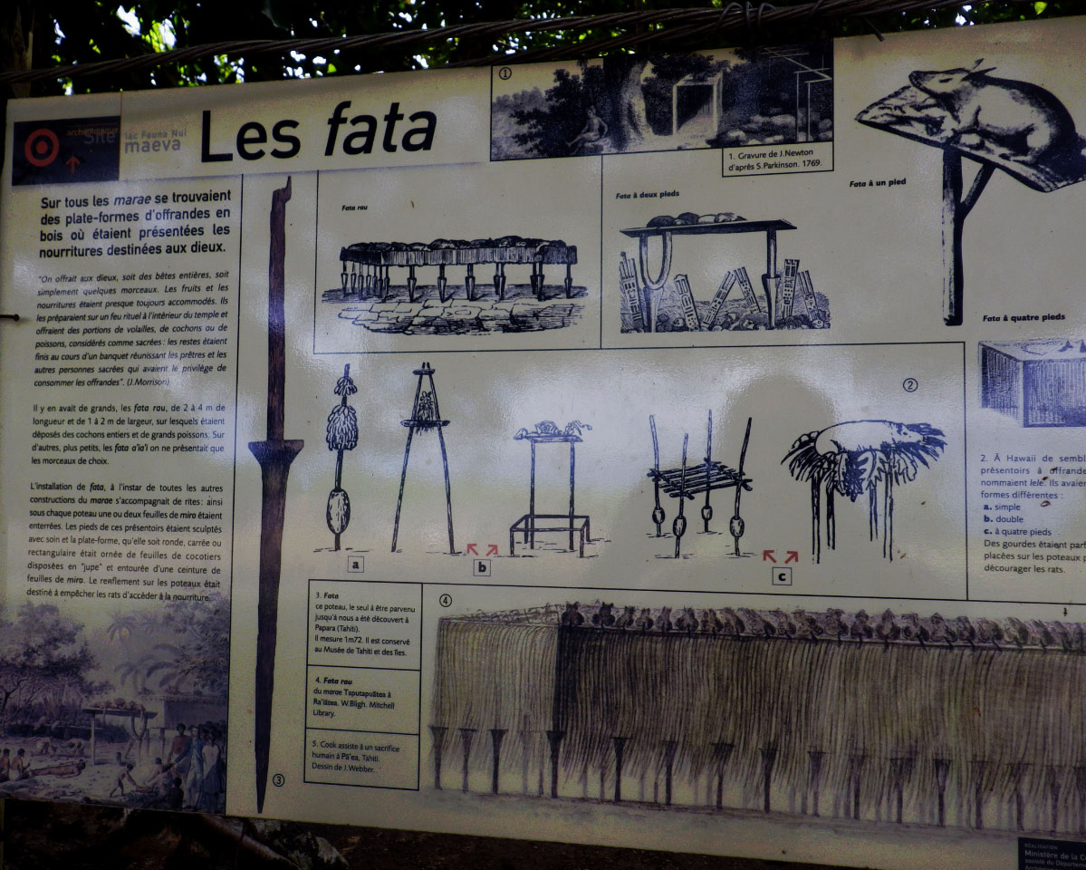 Peuples du monde - Maori - Architecture des Marae Maori