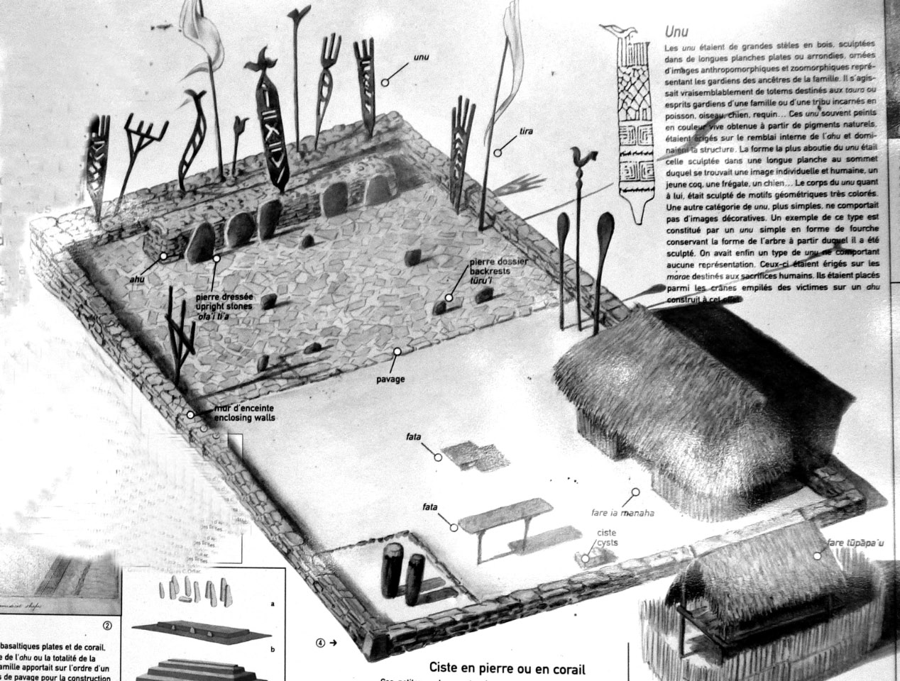 Peuples du monde - Maori - Architecture des Marae Maori